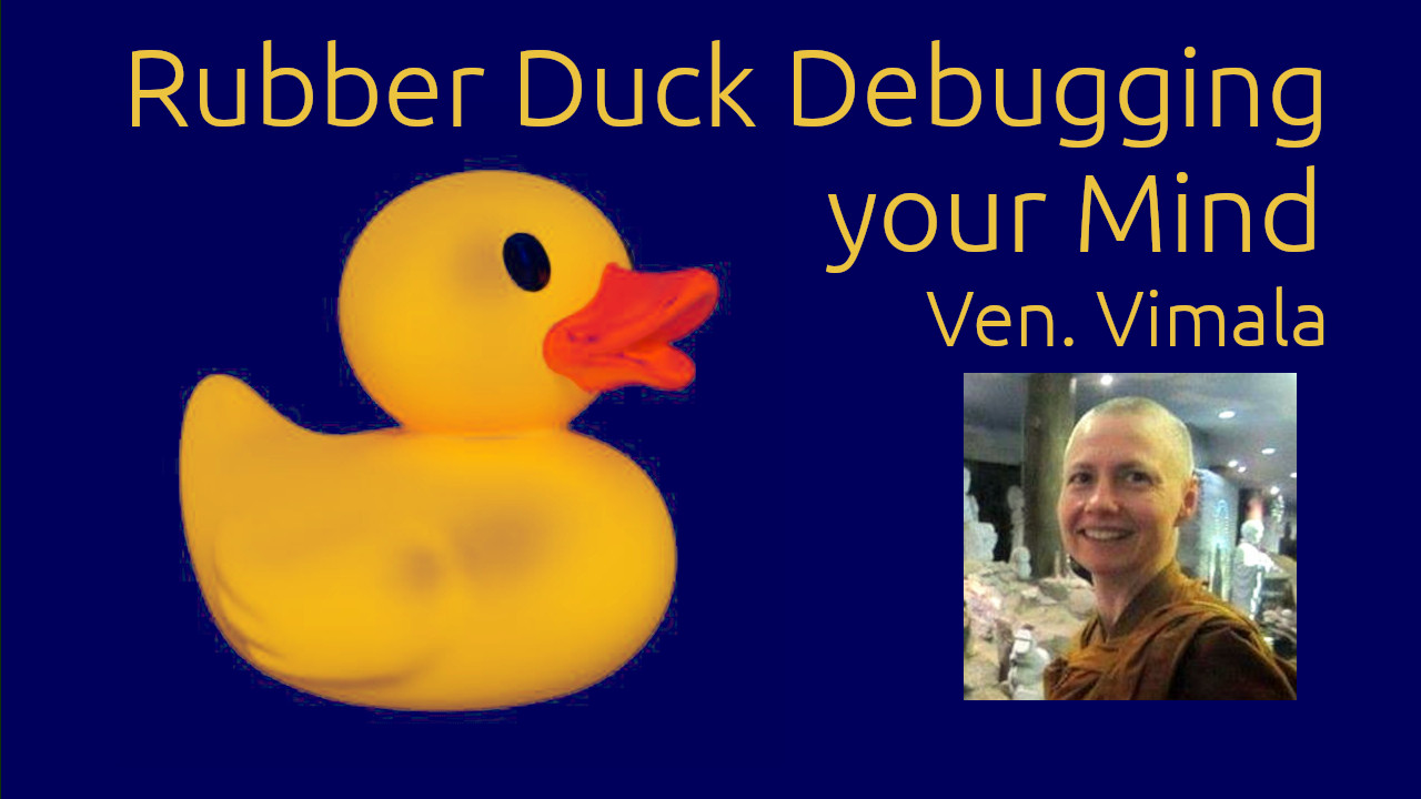Dhamma Talk: Rubber Duck Debugging the Mind: The Vipallasa; distortions ...